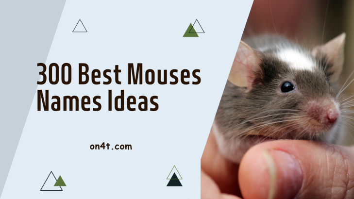 300 Best Mice Names Ideas - On4t