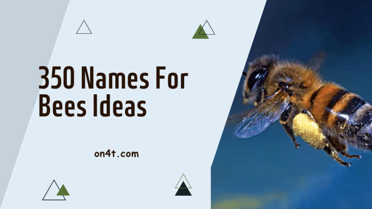 350 Names For Bees Ideas - On4t