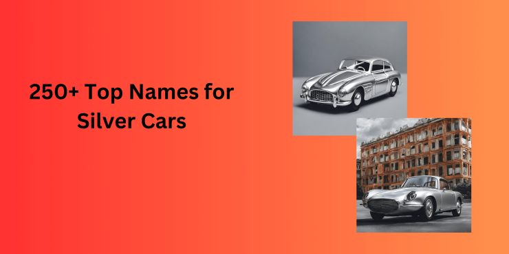 250+ Top Names for Silver Cars