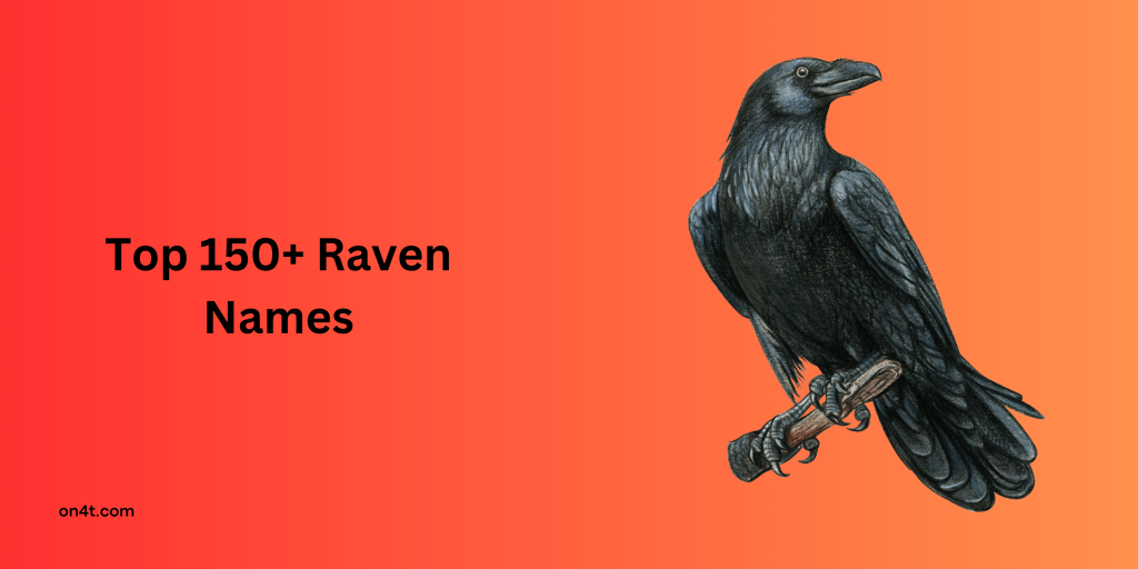 Top 150+ Raven Names