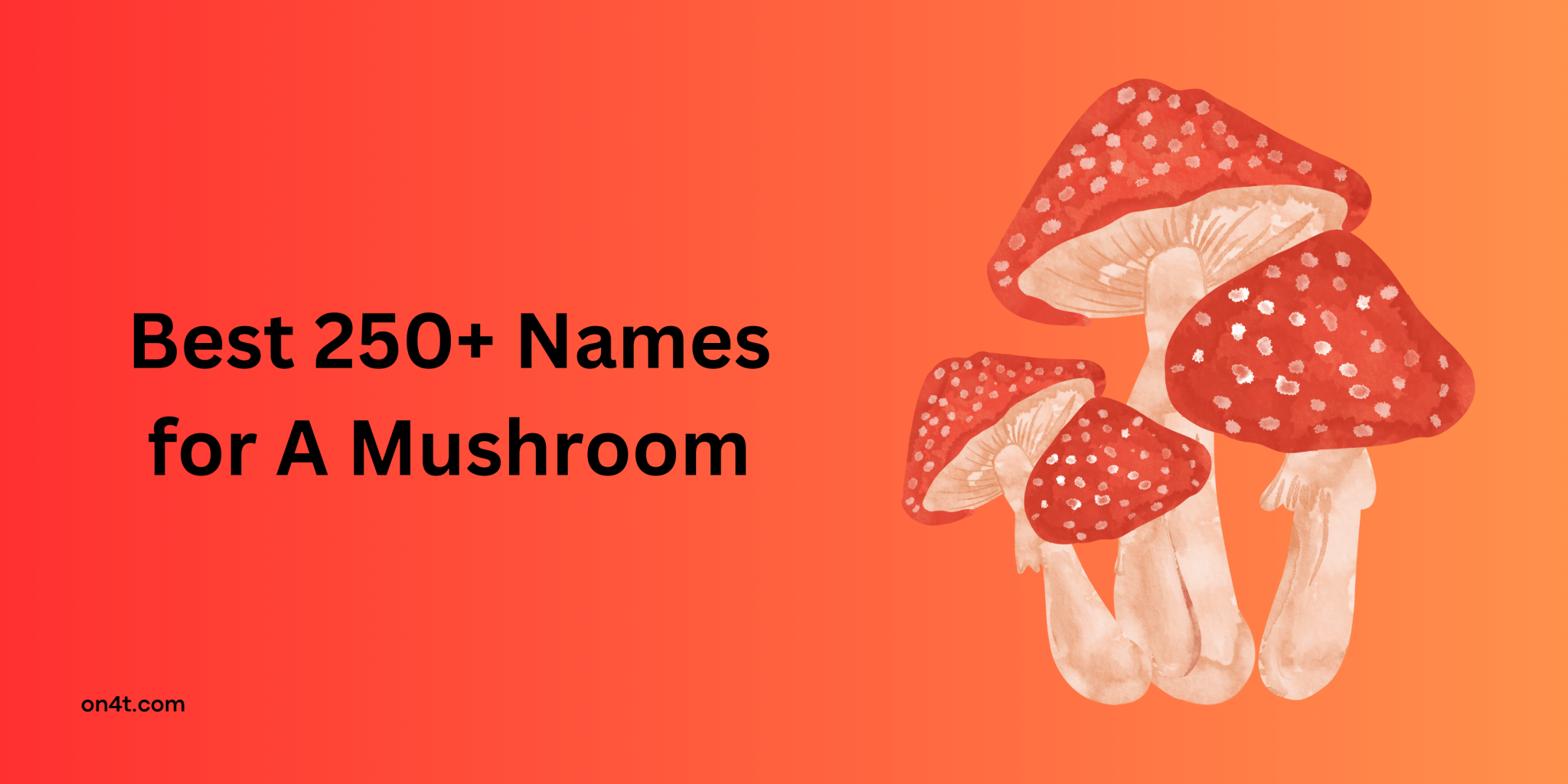 Best 250+ Names for A Mushroom