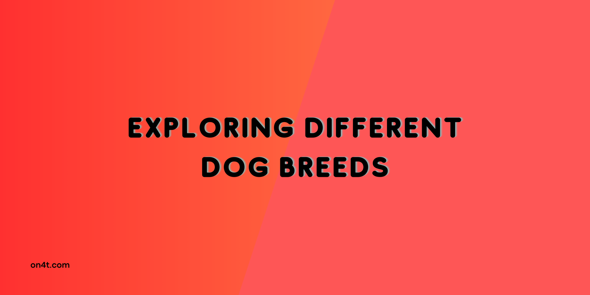 Ultimate Dog Quiz Test Your Canine Knowledge