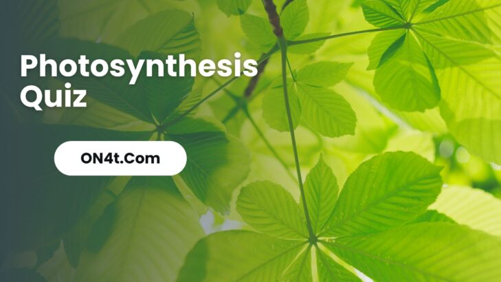Photosynthesis Quiz: MCQs, FAQs, and Interesting facts-On4t